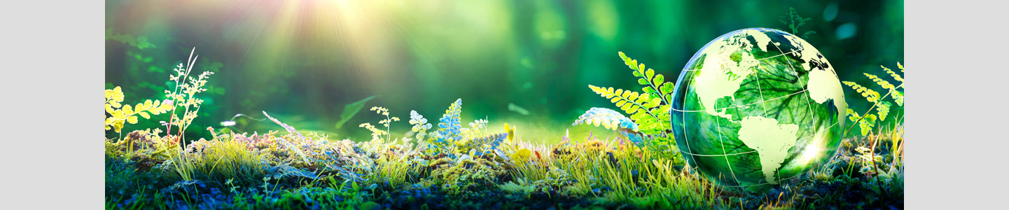 共同守護臭氧層-使用eFUME™取代溴化甲烷作為檢疫燻蒸藥劑 - 中鼎集團 ESG 電子報 No.014